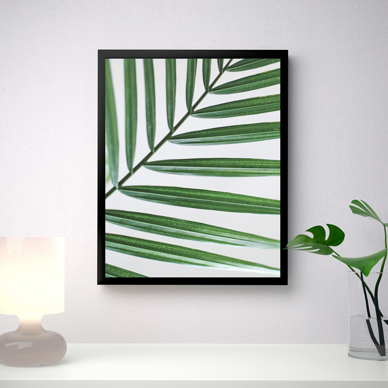 Poster feuilles - Kusthome Shop